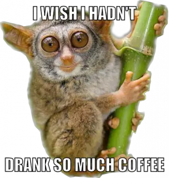 Classroom Meme Generator - ESL Kids Games